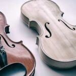 Parts Of The Violin Explained | Theviolinlessons