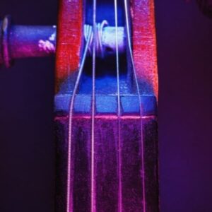 Parts Of The Violin Explained | Theviolinlessons